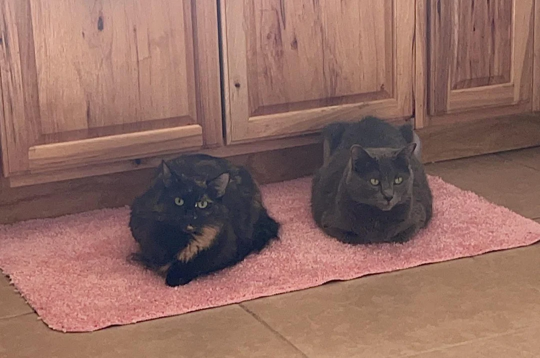 Double Loaf! | Scrolller
