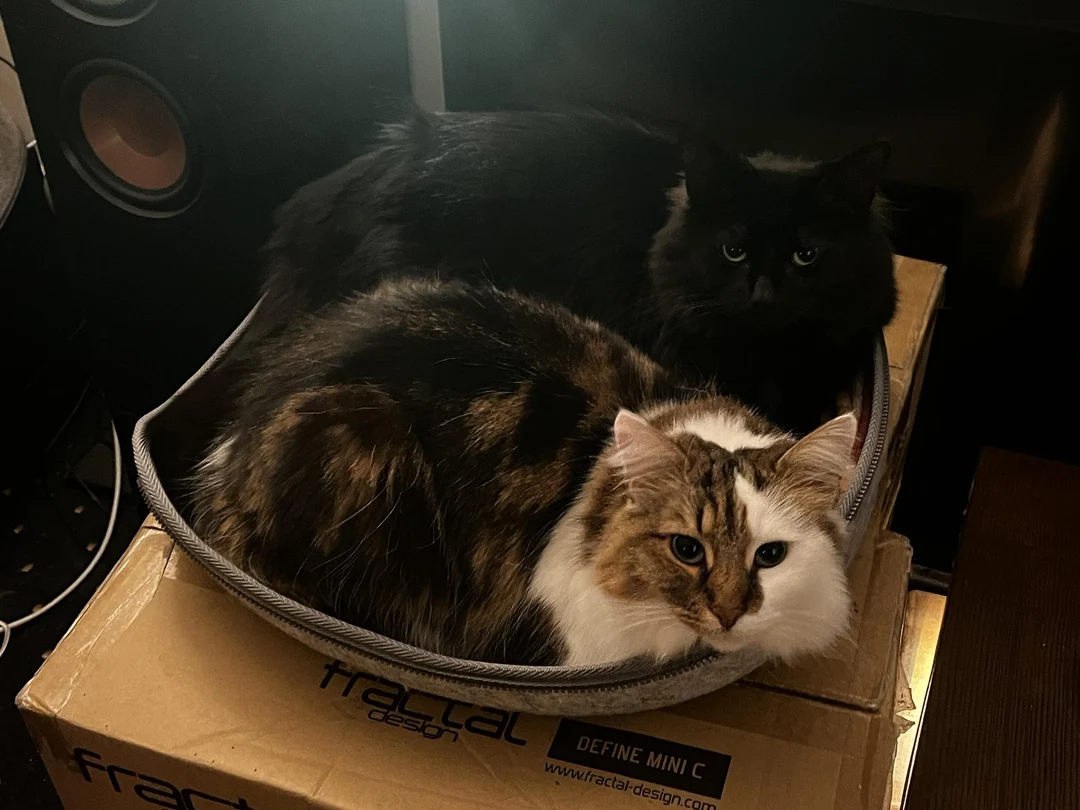 Void and Fluff | Scrolller