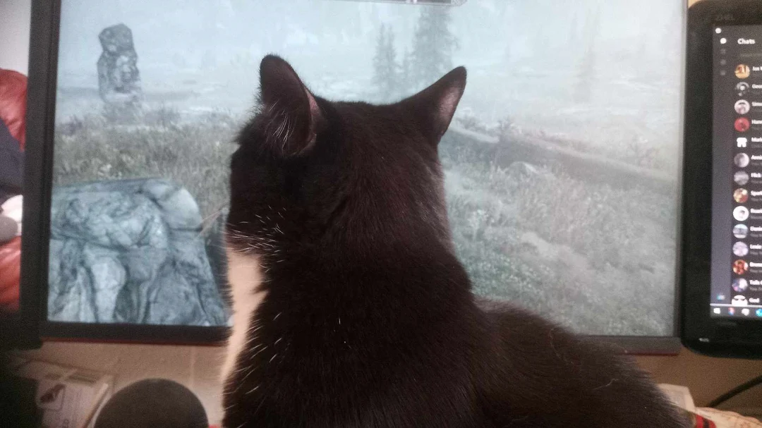 This khajiit mod is super immersive! | Scrolller