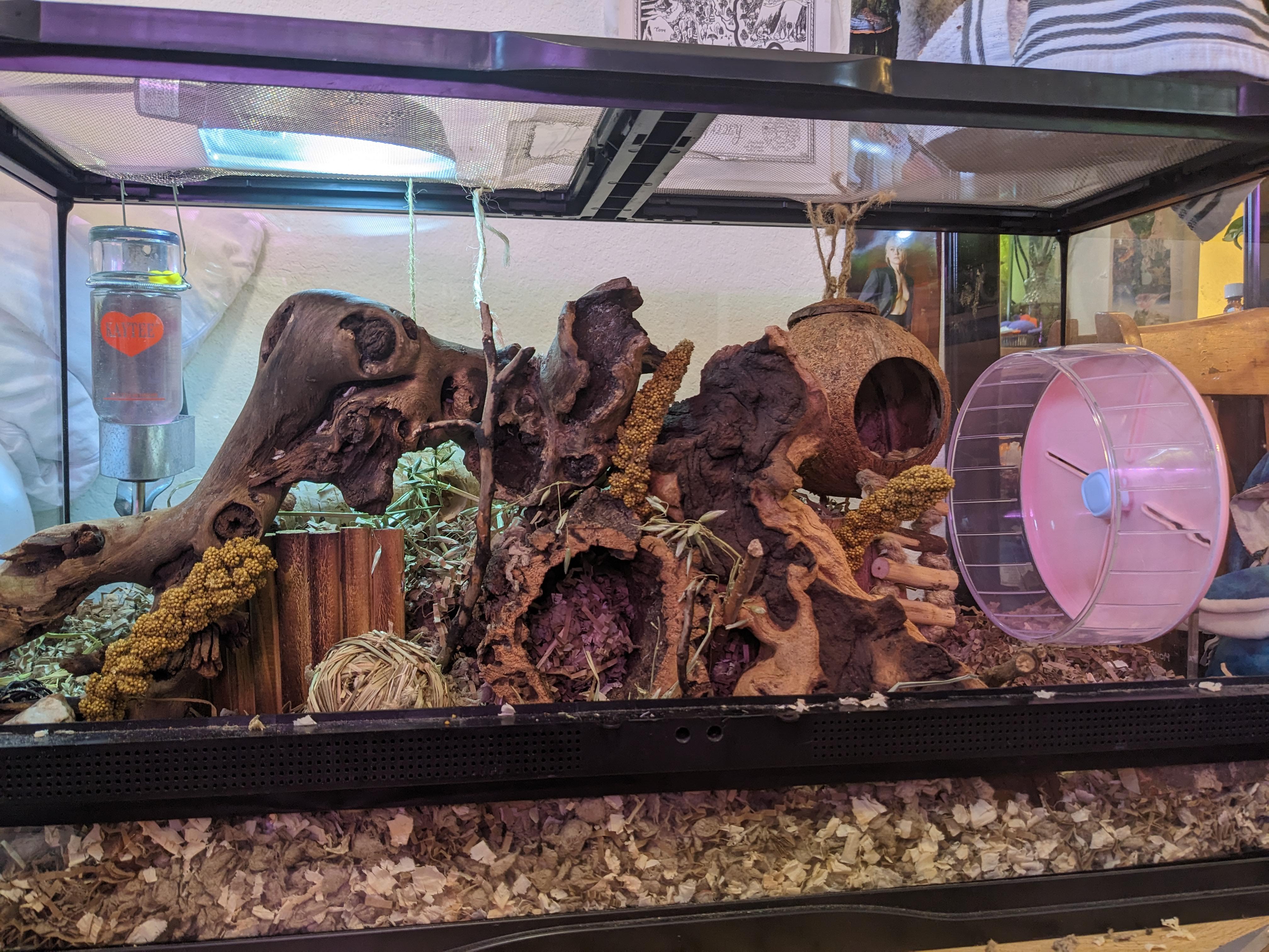 Another week another new layout! | Scrolller