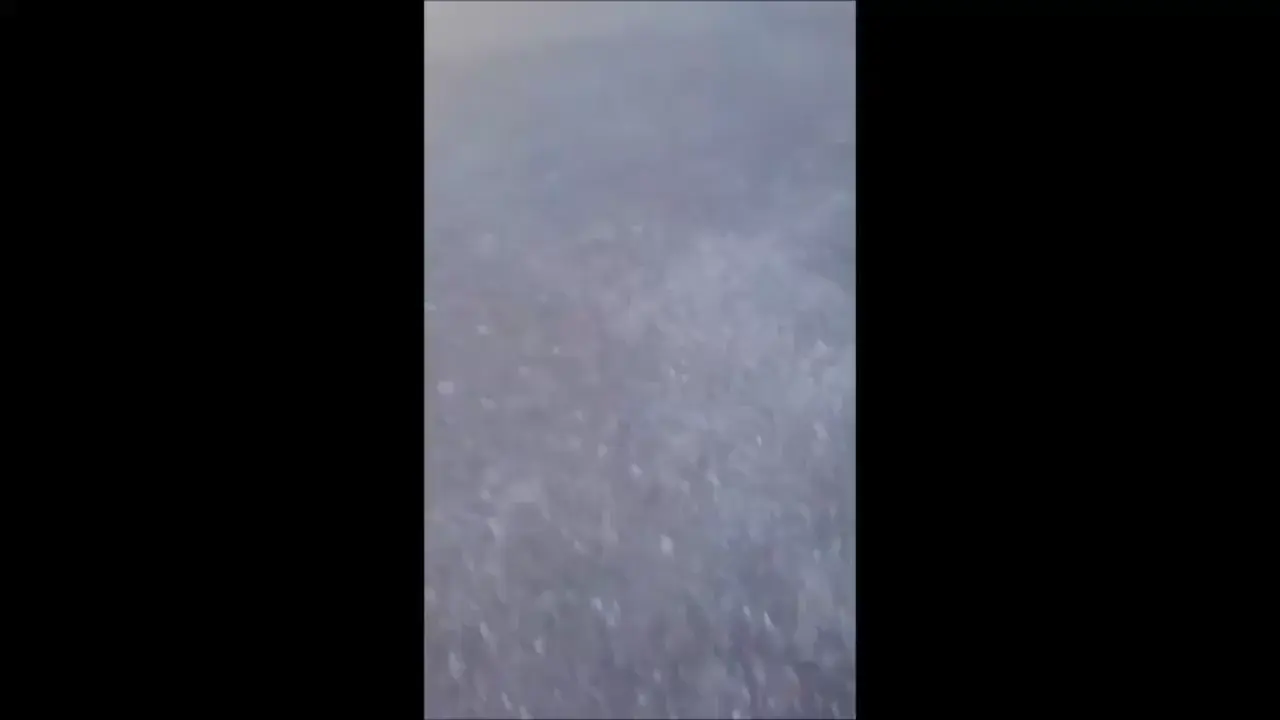 Fairly even catfight | Scrolller