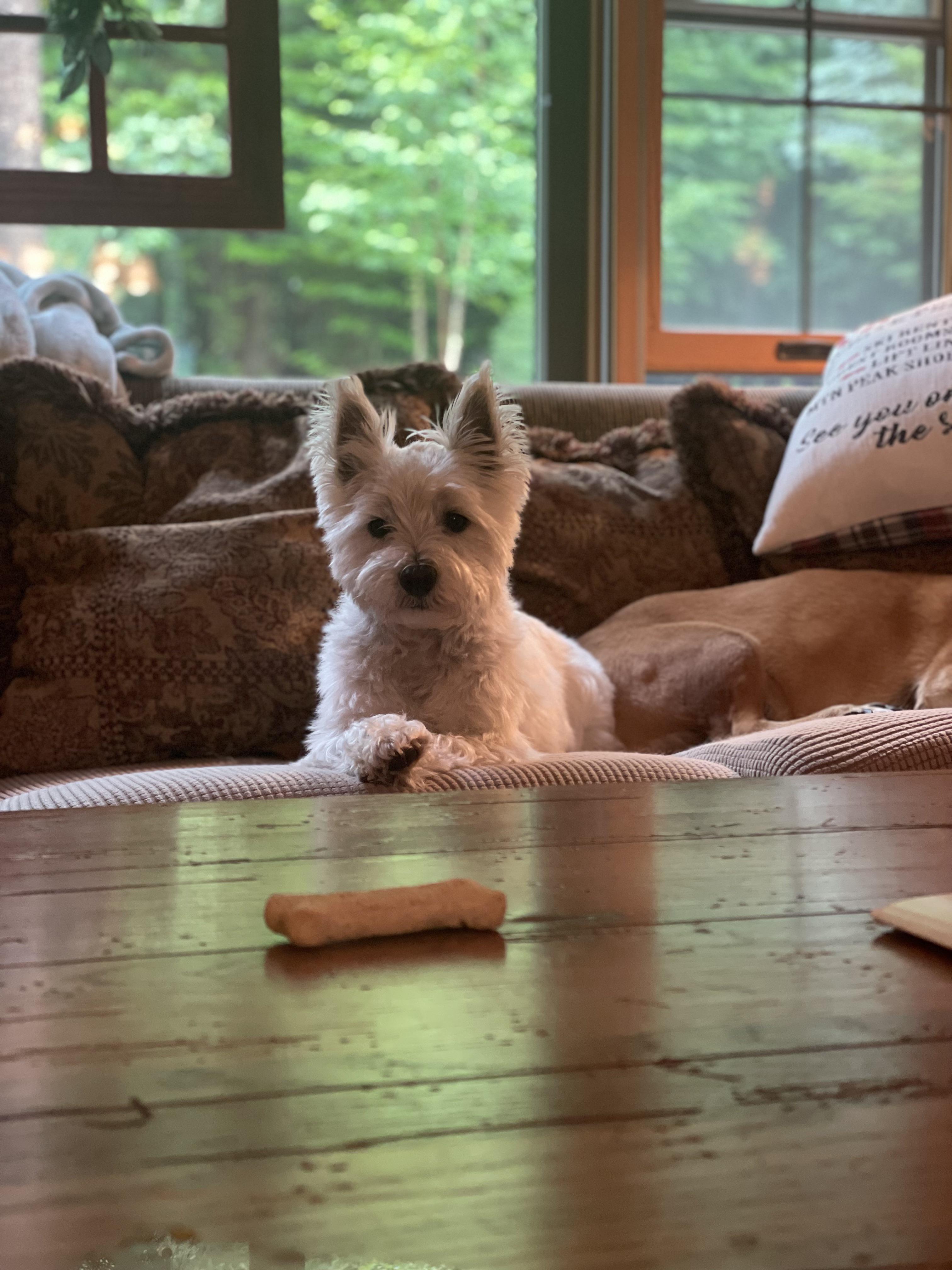 Fancy Foot Fred | Scrolller