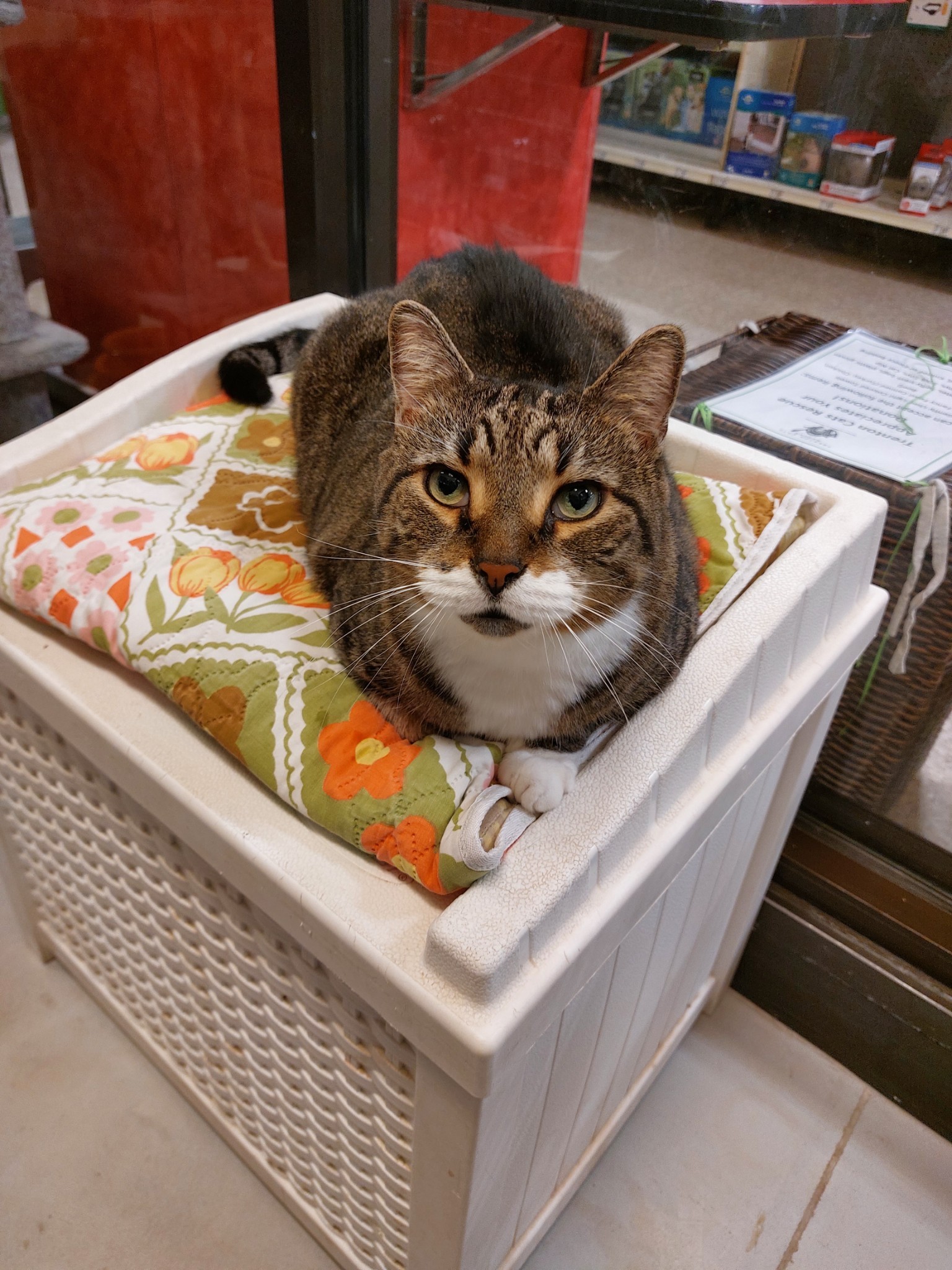 Fancy loaf | Scrolller