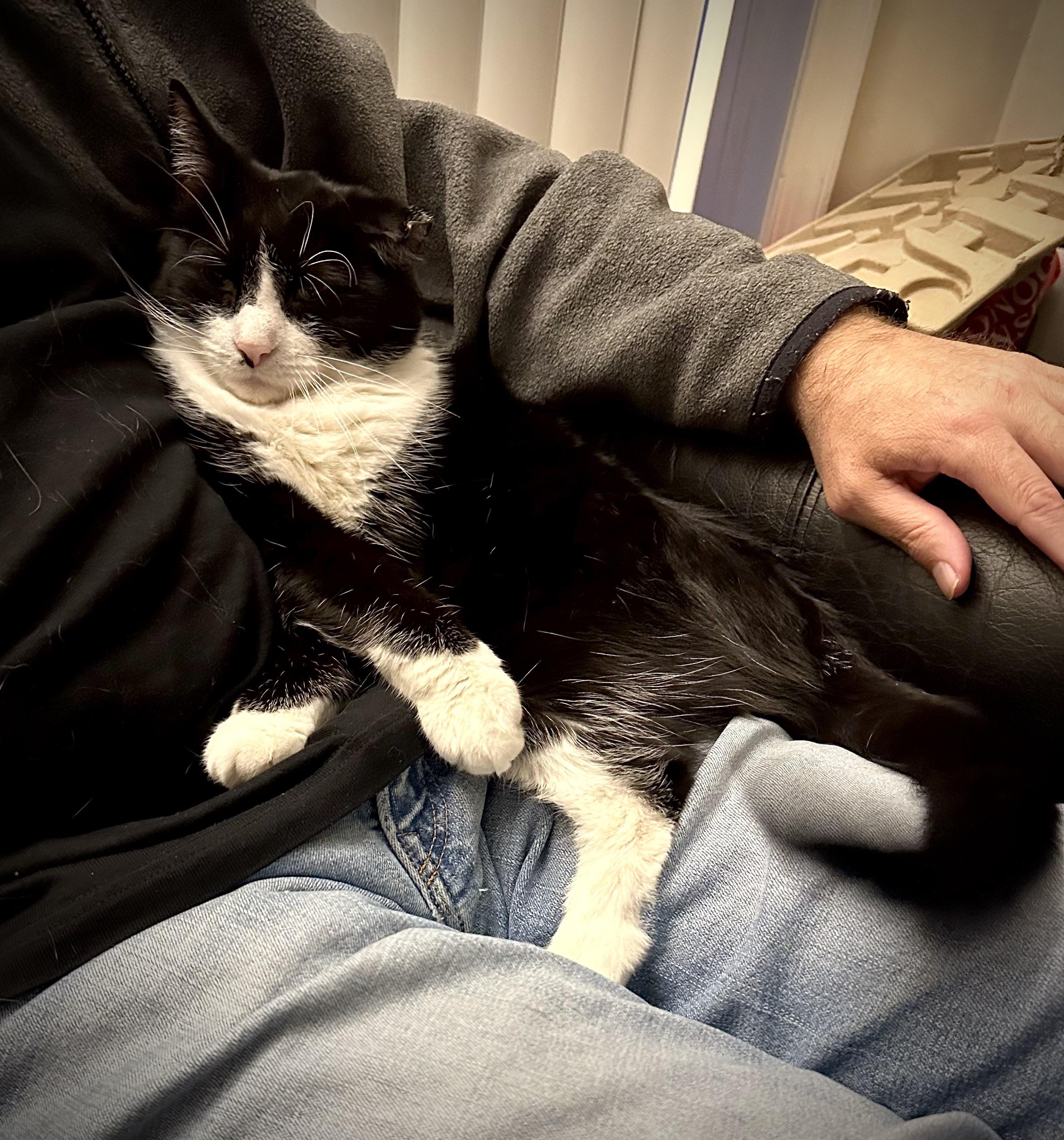 Fancy Toby feet | Scrolller