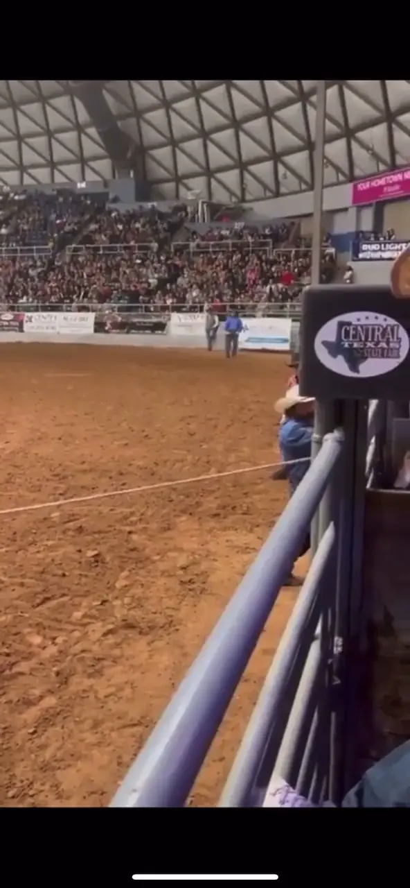 Father jumps on unconscious son to save him from being gored by a bull | Scrolller