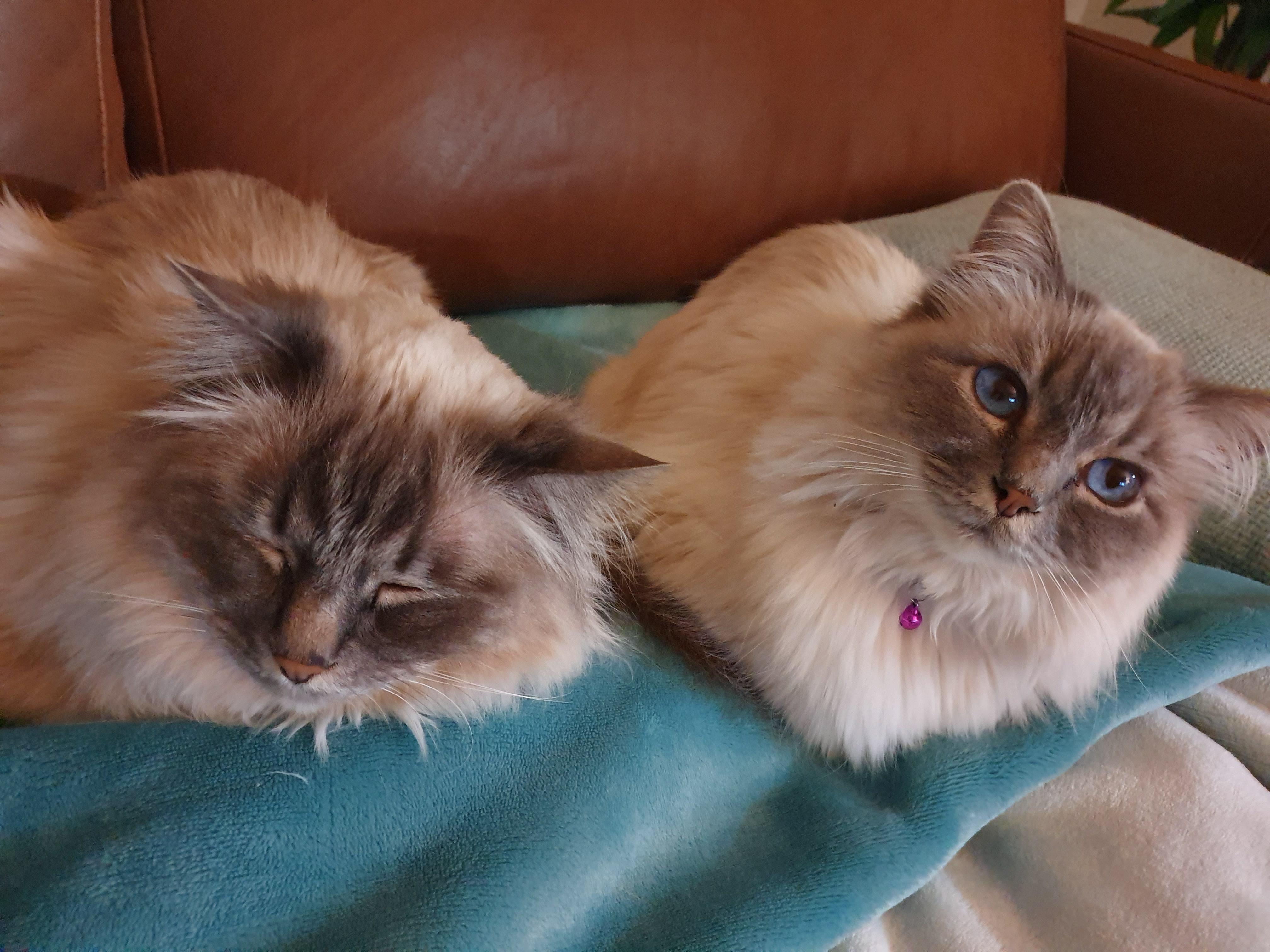 Two Loaves | Scrolller