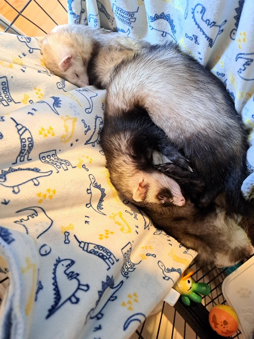 Cuddle Puddle featuring Fries, Nugget, and Philbert | Scrolller