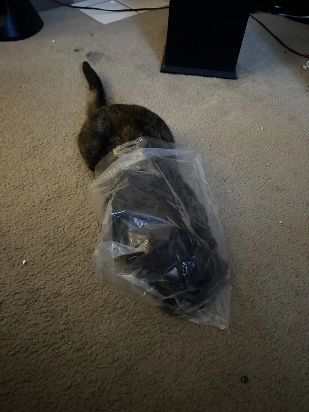 One in the bag! | Scrolller