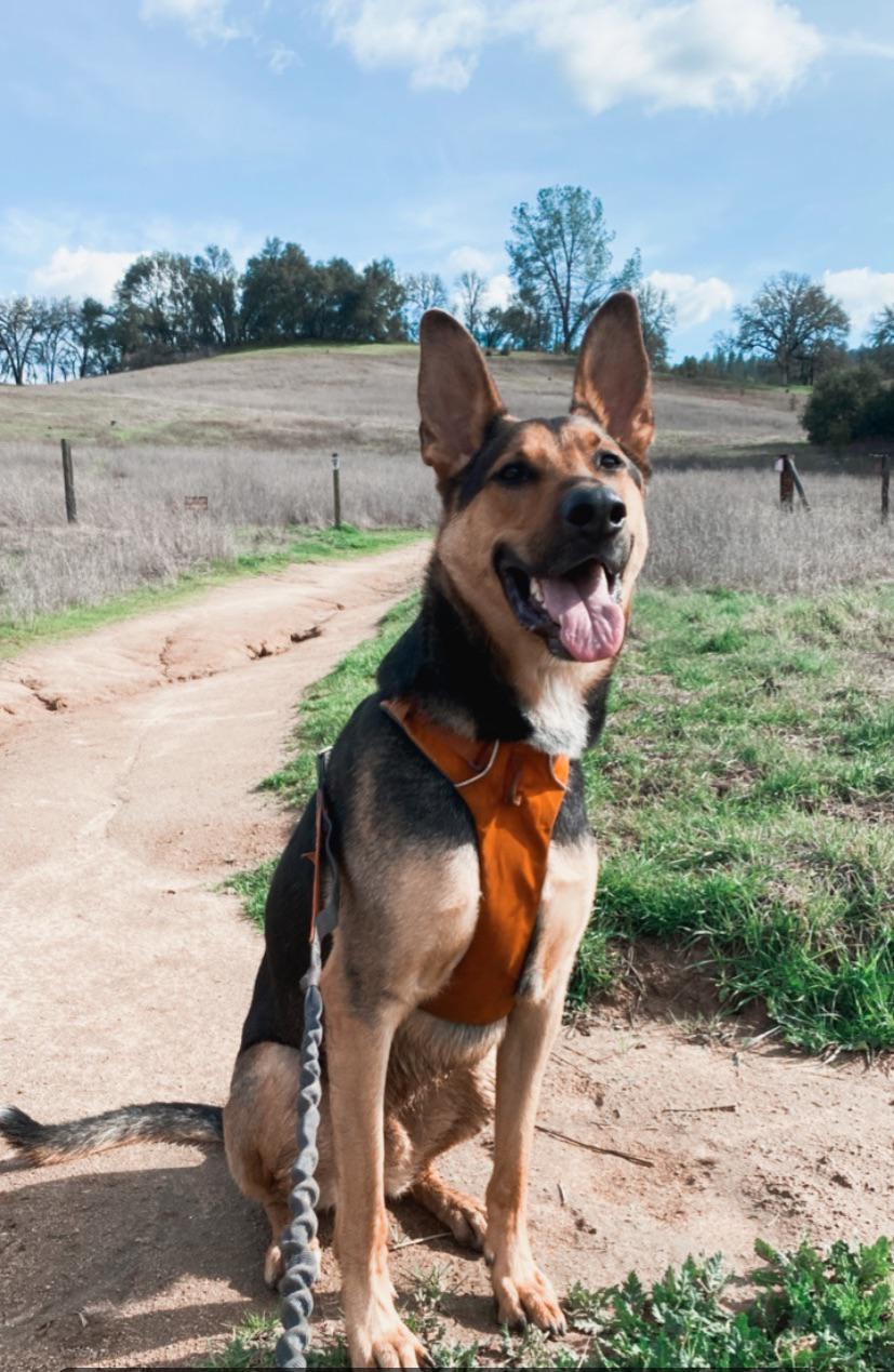 10 miles for his first trail run! | Scrolller
