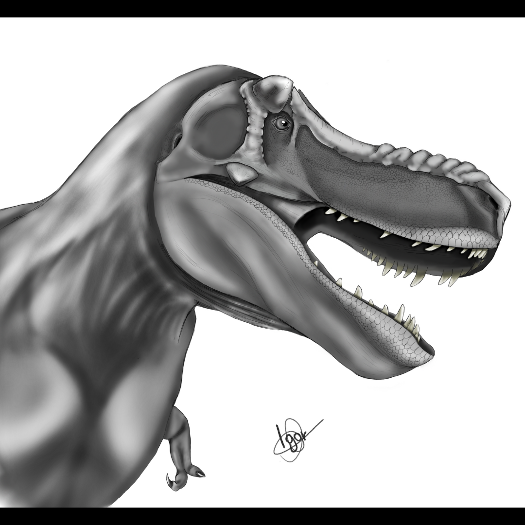 Tyrannosaurus rex | Scrolller