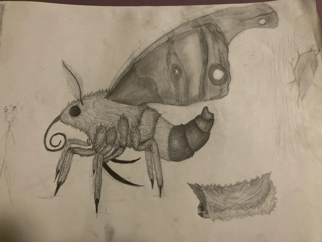 magna tinea (by me) | Scrolller