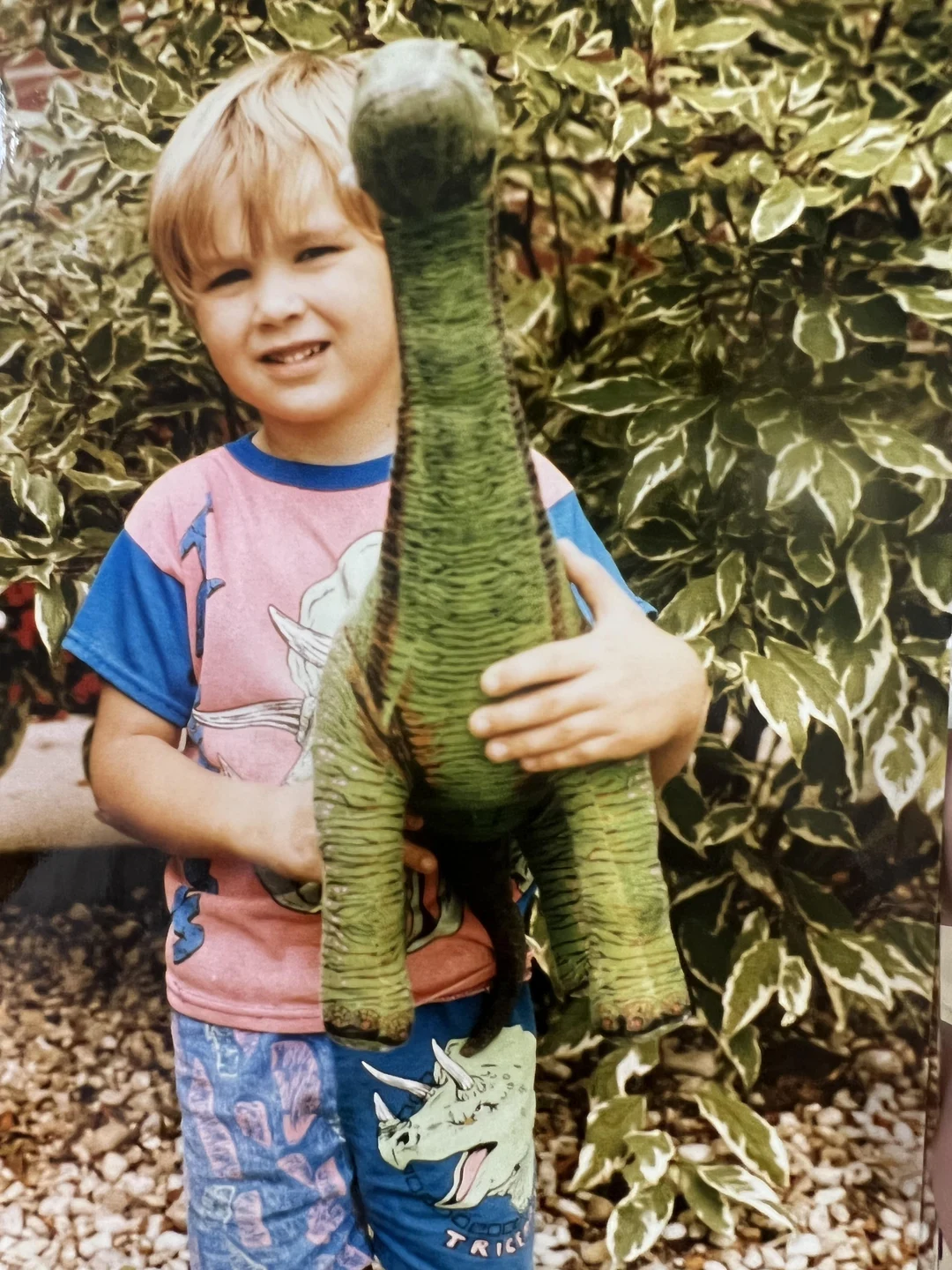 Me just absolutely obsessed with dinosaurs, 1993 | Scrolller