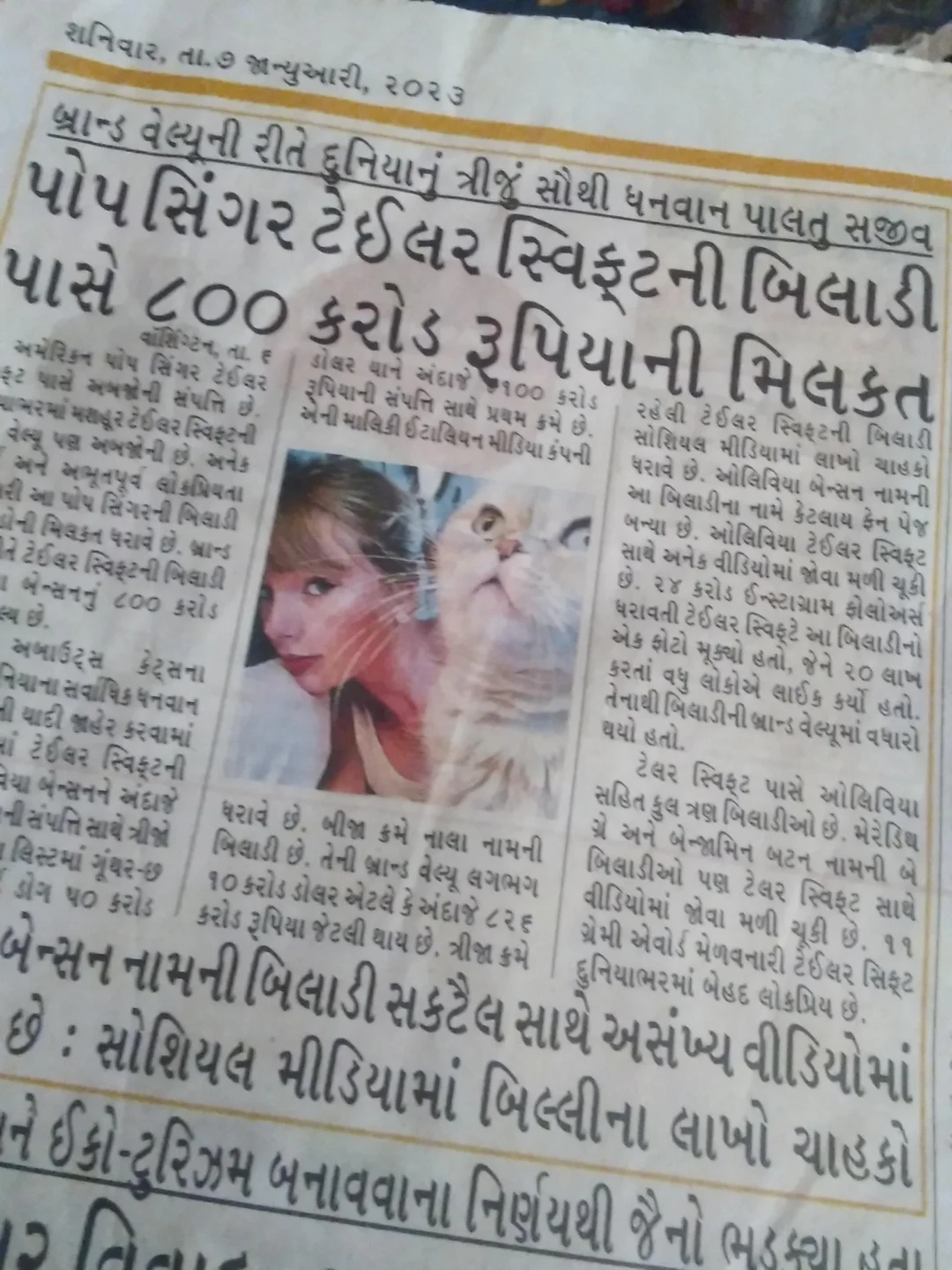 An article about Taylor's cat in an Indian newspaper | Scrolller
