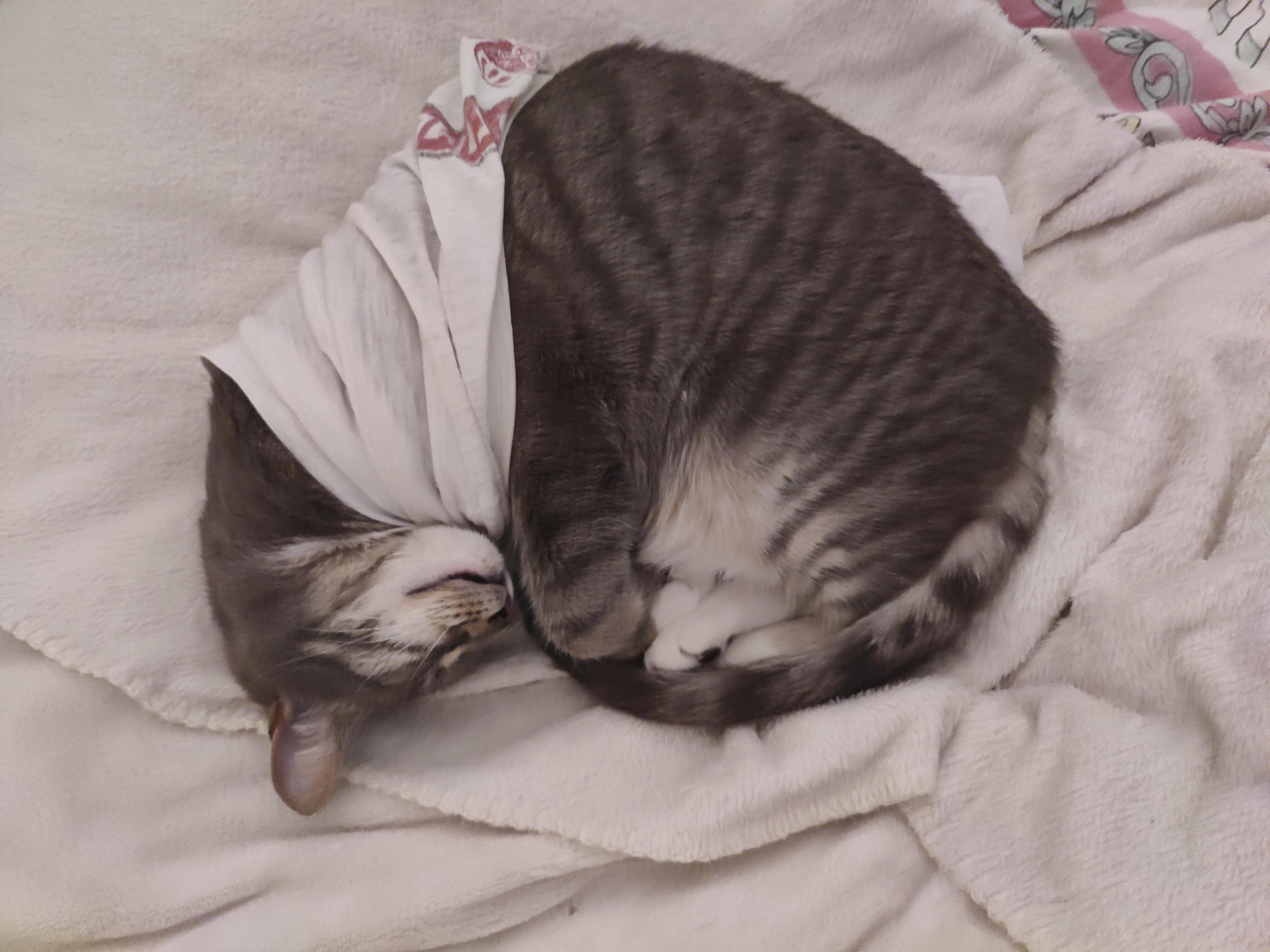 Jasmine decided my top was the perfect scarf | Scrolller