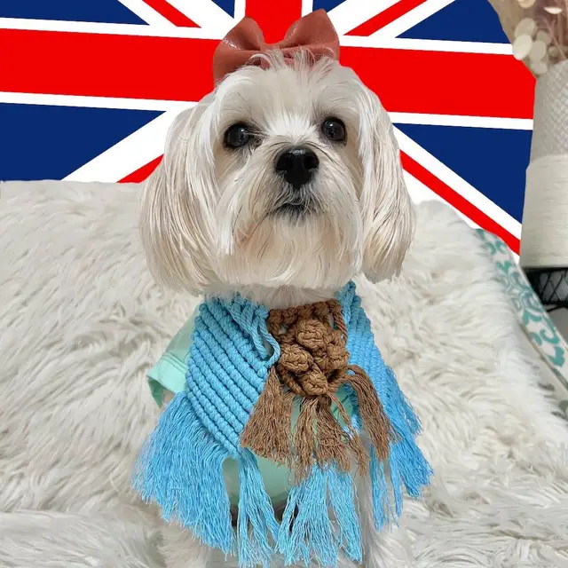 Honoring Her Majesty Queen Elizabeth II 👑🕊🇬🇧 | Scrolller