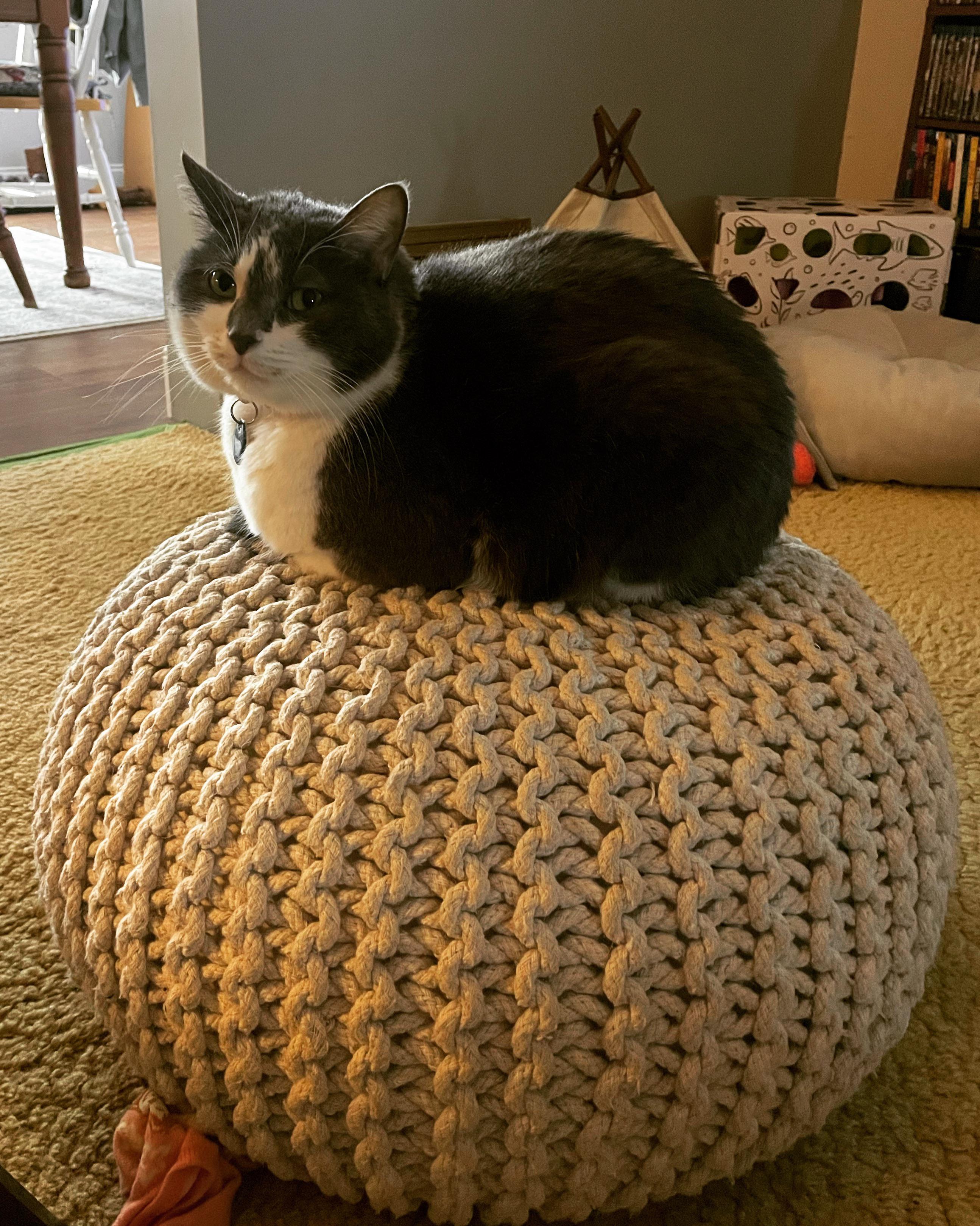 Ottoman Loaf | Scrolller