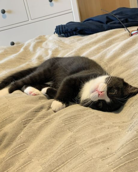 I have always been so normal… | Scrolller