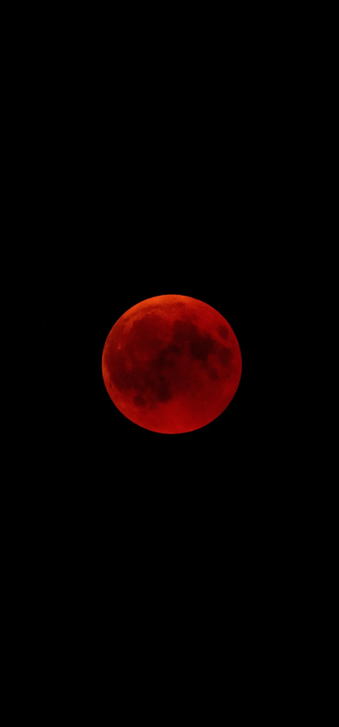 beautiful photo of the lunar eclipse last night also turned blood red by the sunrise | Scrolller