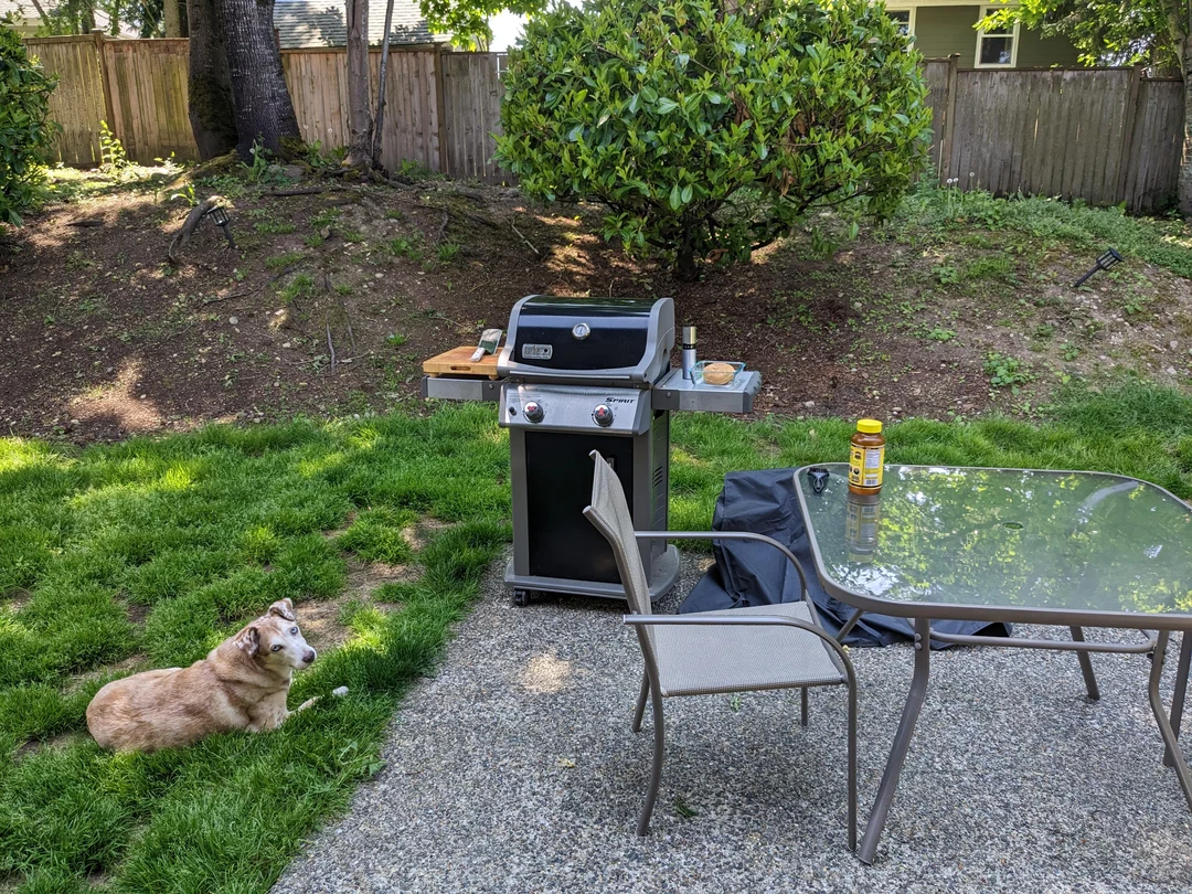 Summer grilling with Sadie | Scrolller
