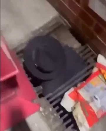 Dude climbing out the sewers in NYC | Scrolller