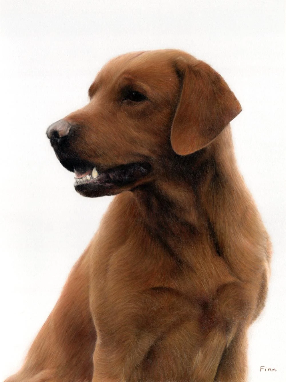 "Finn", Alex Fleming, pastels, 2021 | Scrolller