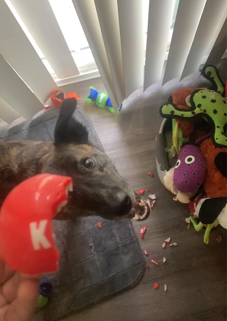 She turns my balls into confetti. | Scrolller