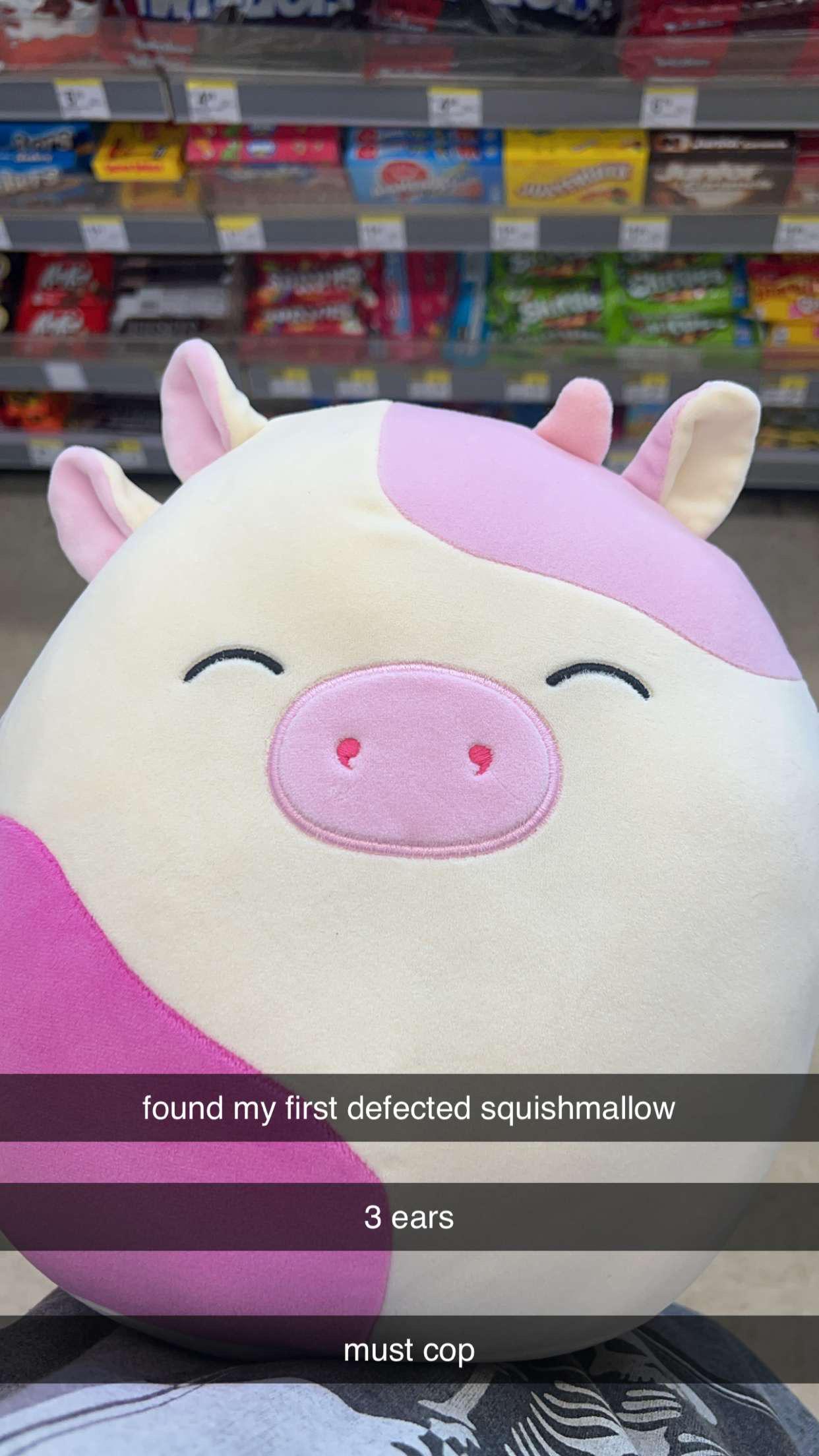 Discover more like Squishmallow: Three-eared caedyn o_o (yes i bought ...