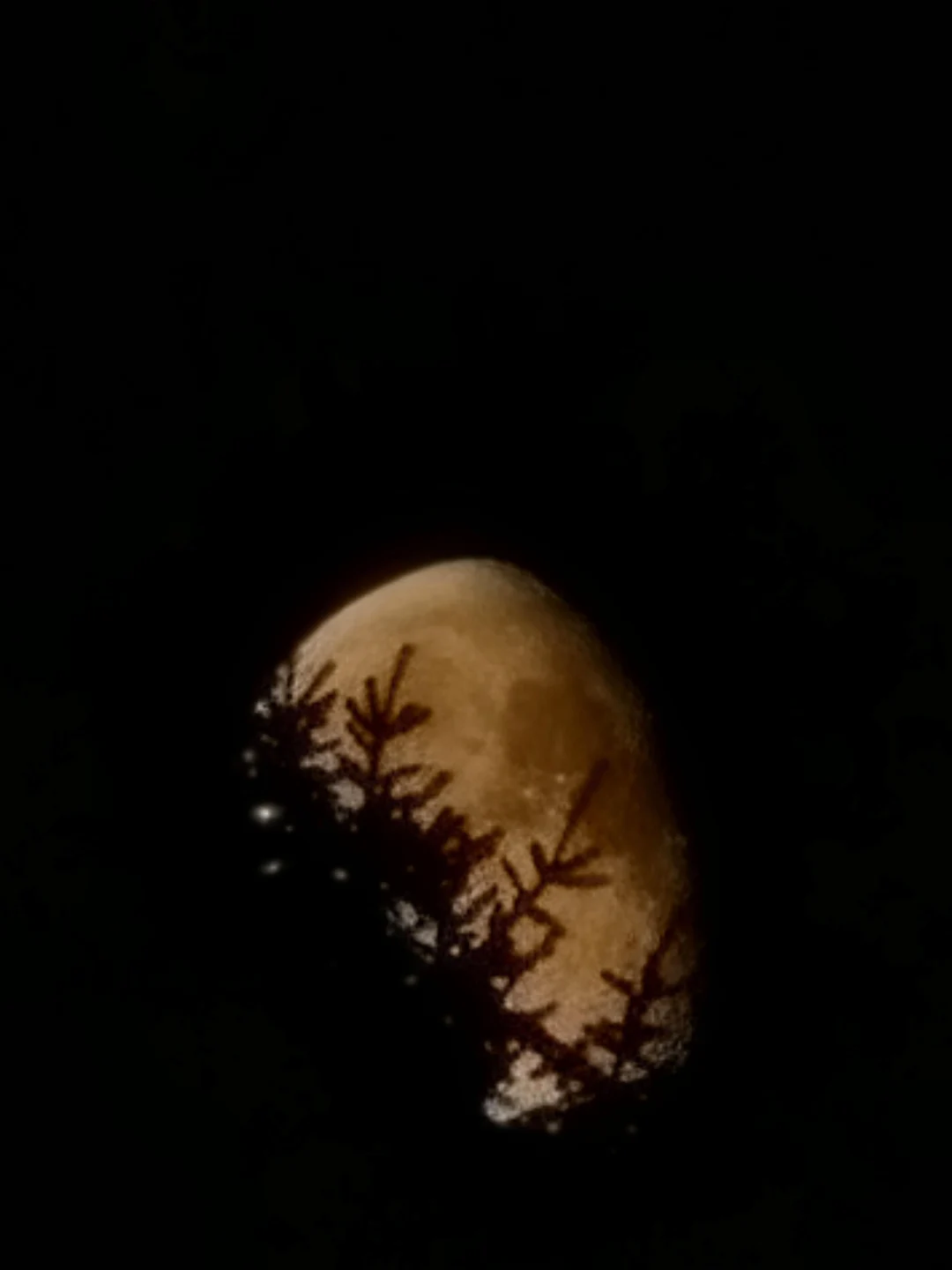 Moon rising | Scrolller