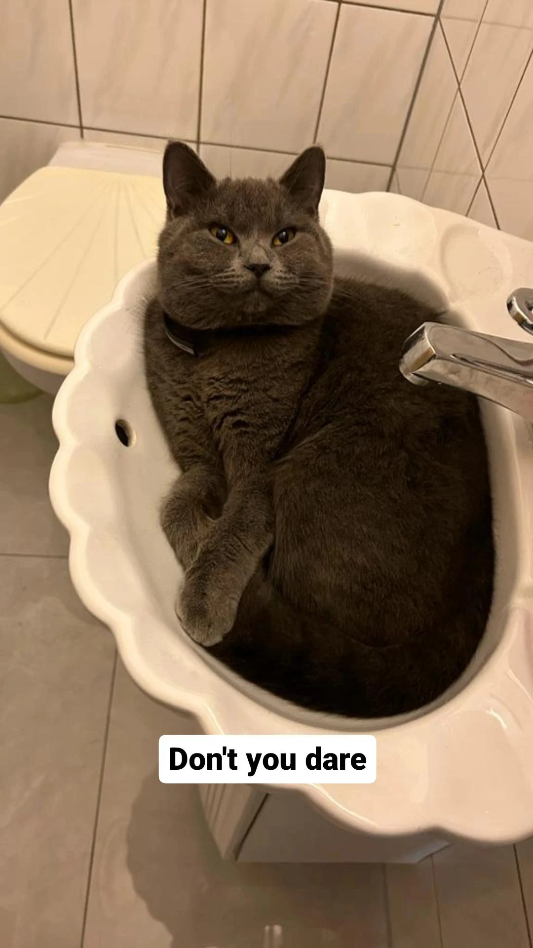 Turn on the faucet? | Scrolller