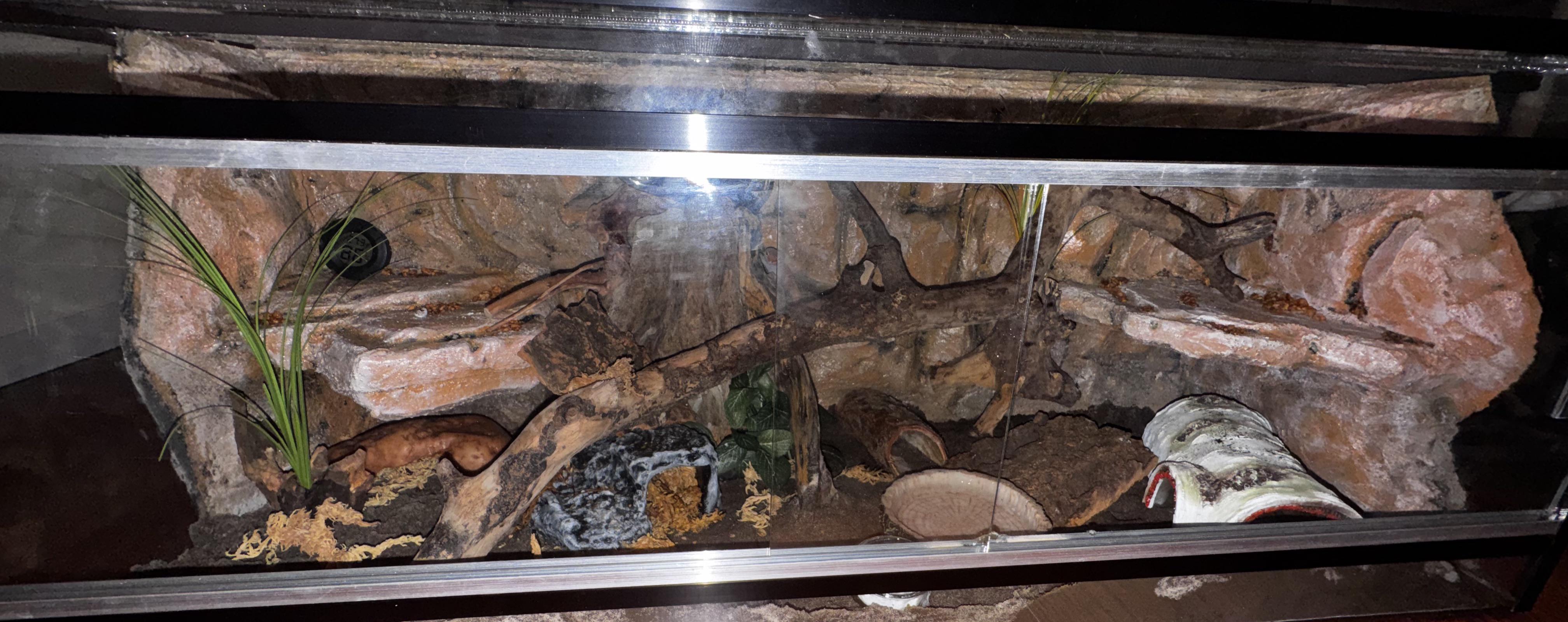 Thoughts on new enclosure | Scrolller