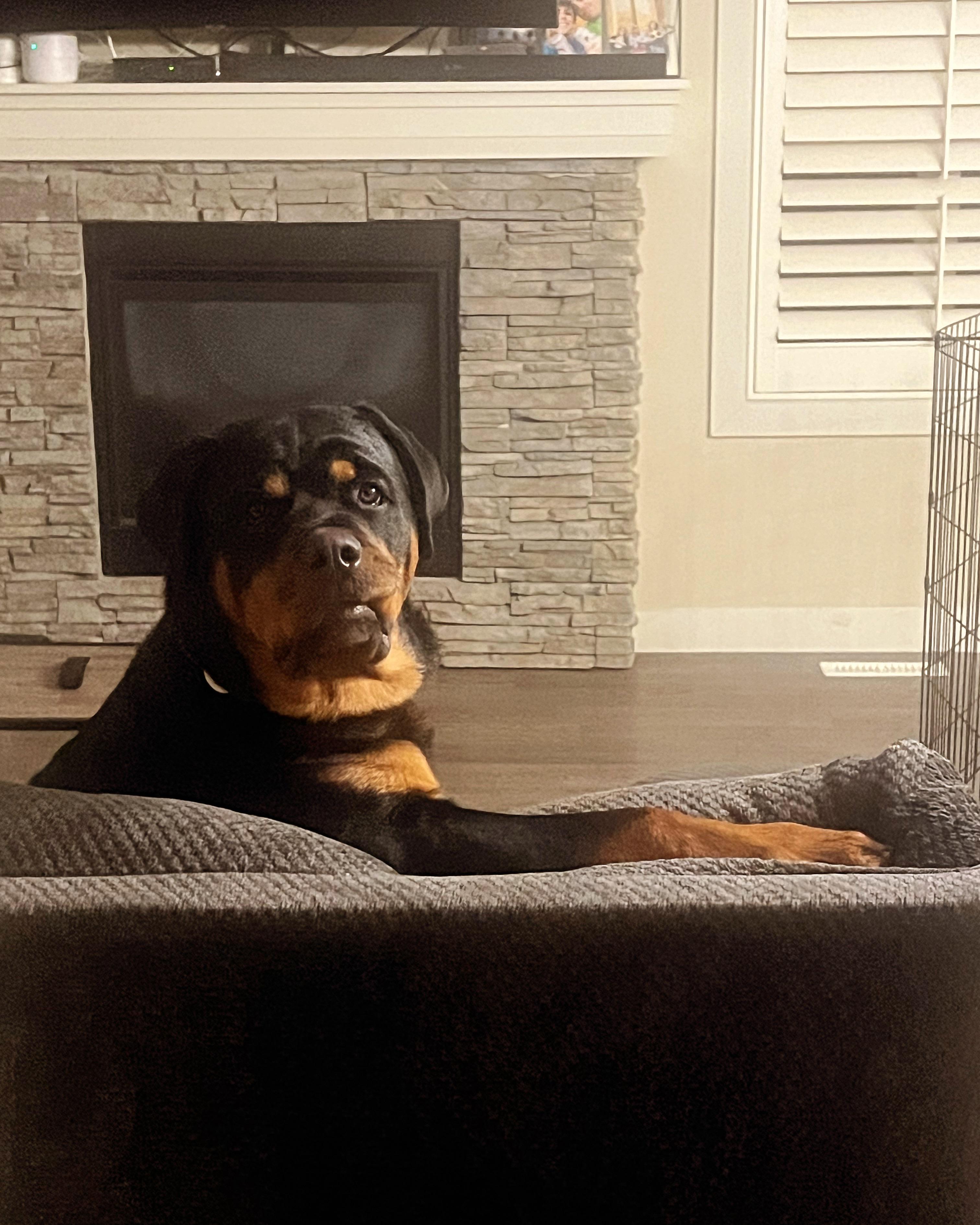 YOUR LATE! | Scrolller