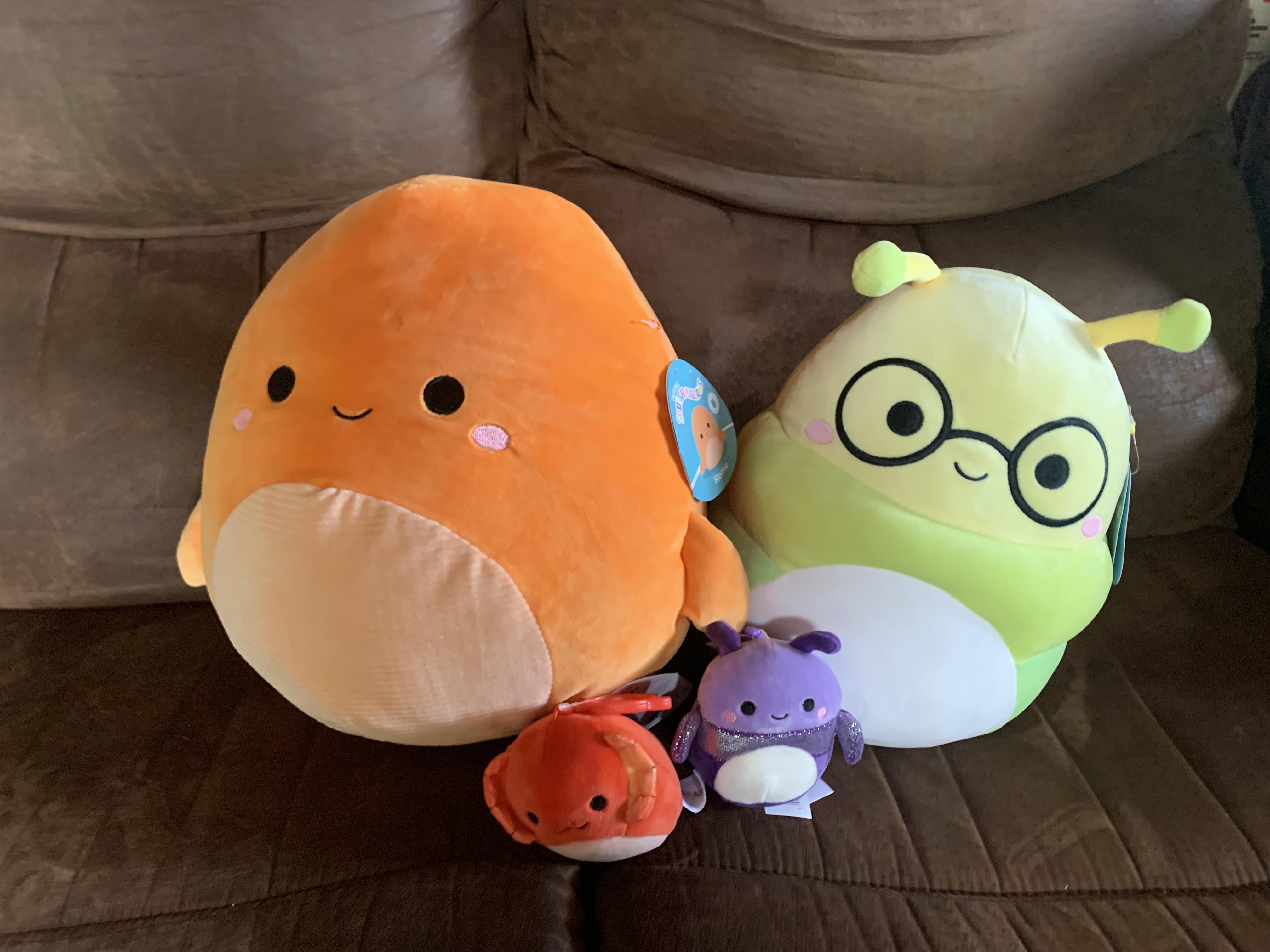 Discover more like Squishmallow: Went on a day trip to a border town ...