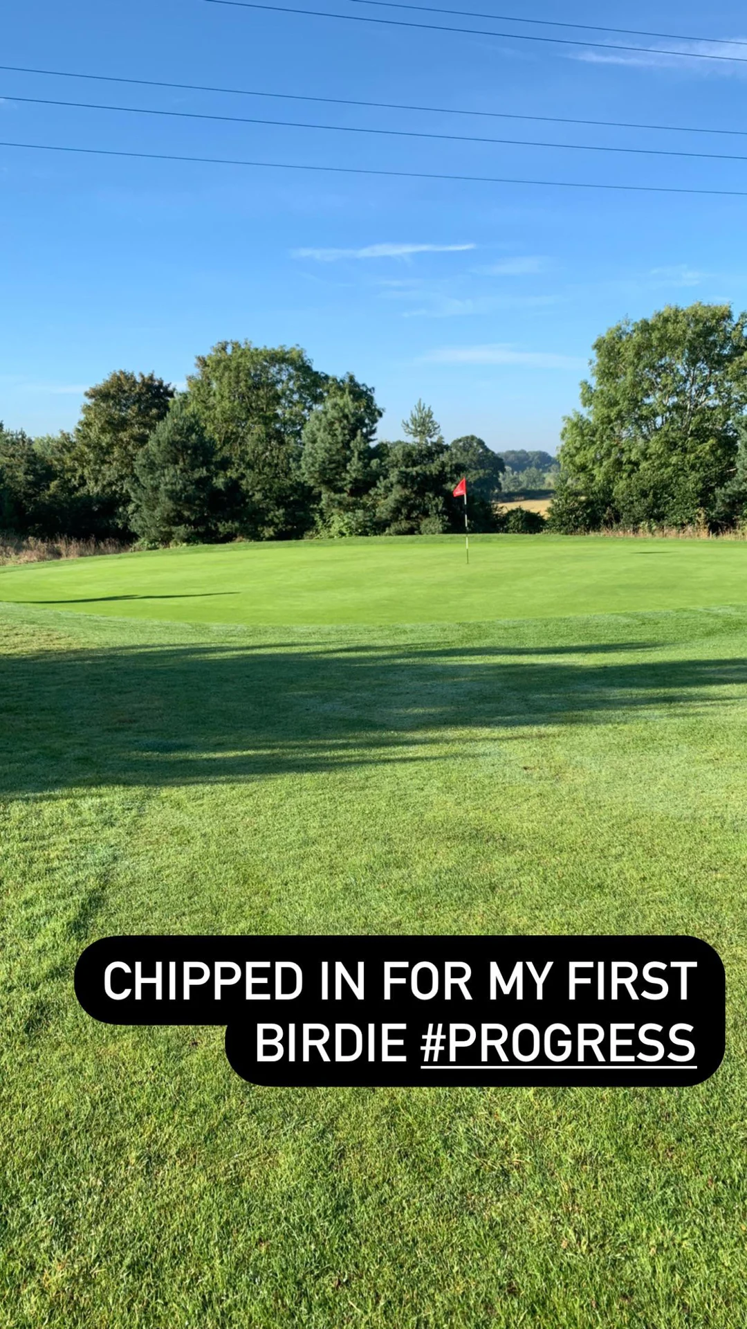 Chipped in for my first ever birdie! | Scrolller