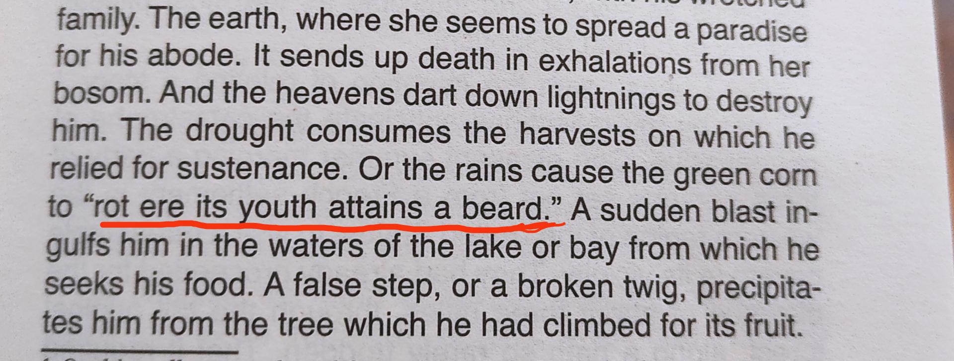 Does anyone know the meaning of this expression? | Scrolller