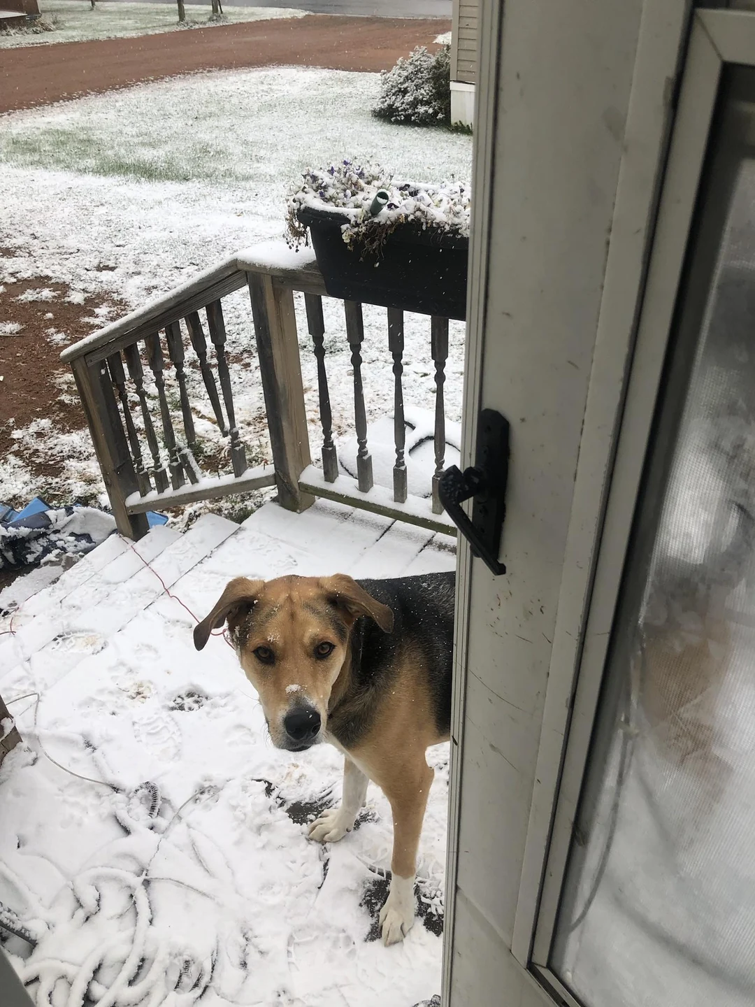 Winter is coming | Scrolller