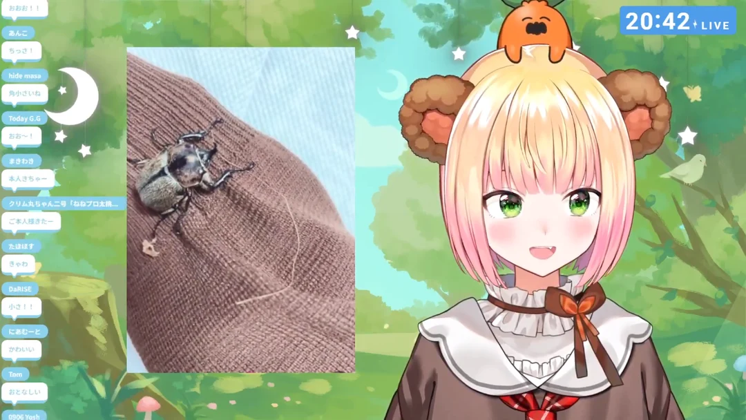Nenechi showing one of her cute beetles! | Scrolller
