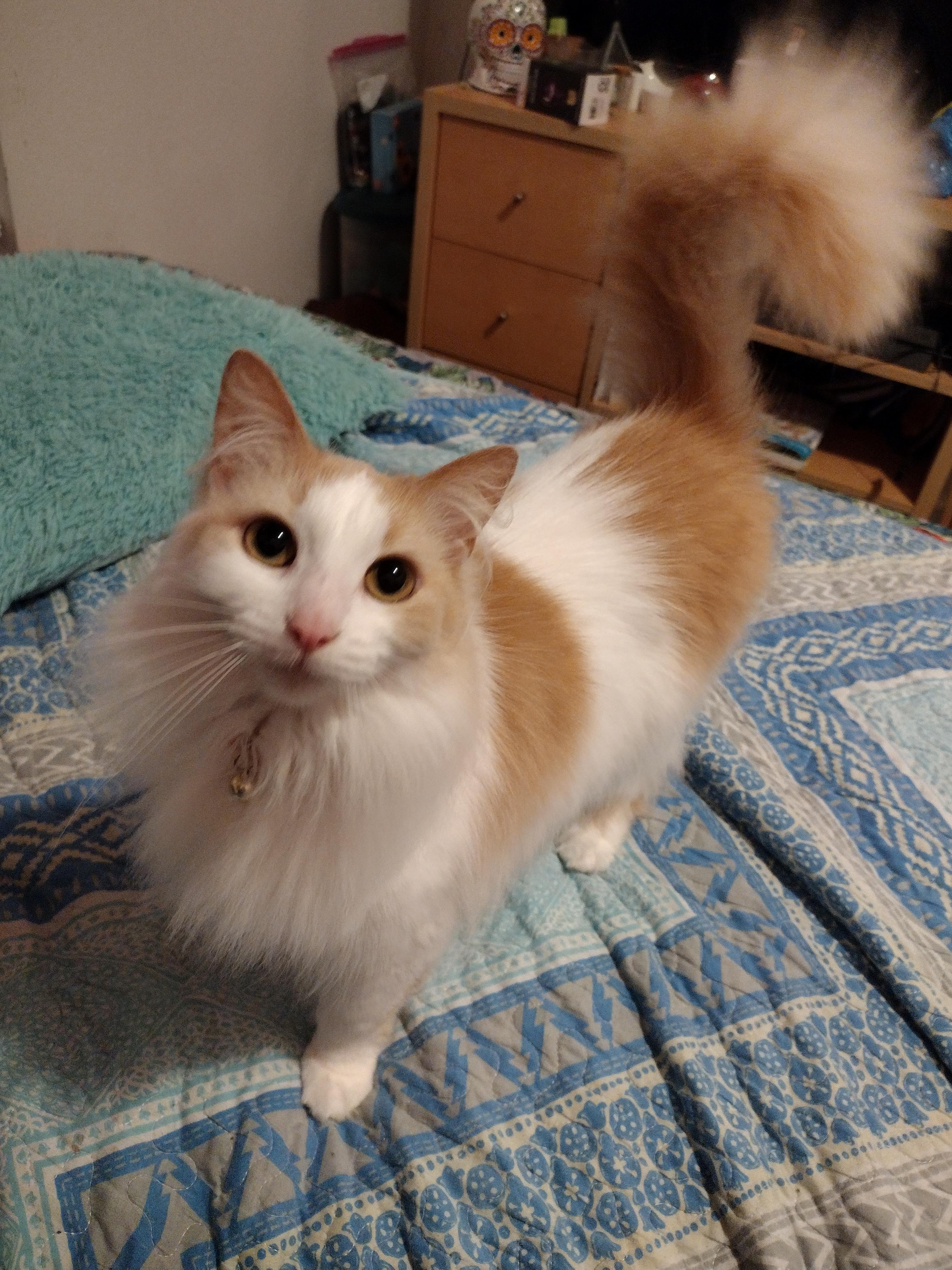 Willow in all her glory 💗 | Scrolller