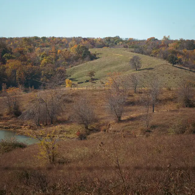 Won't be long before the color is gone. Outside Amana | Scrolller