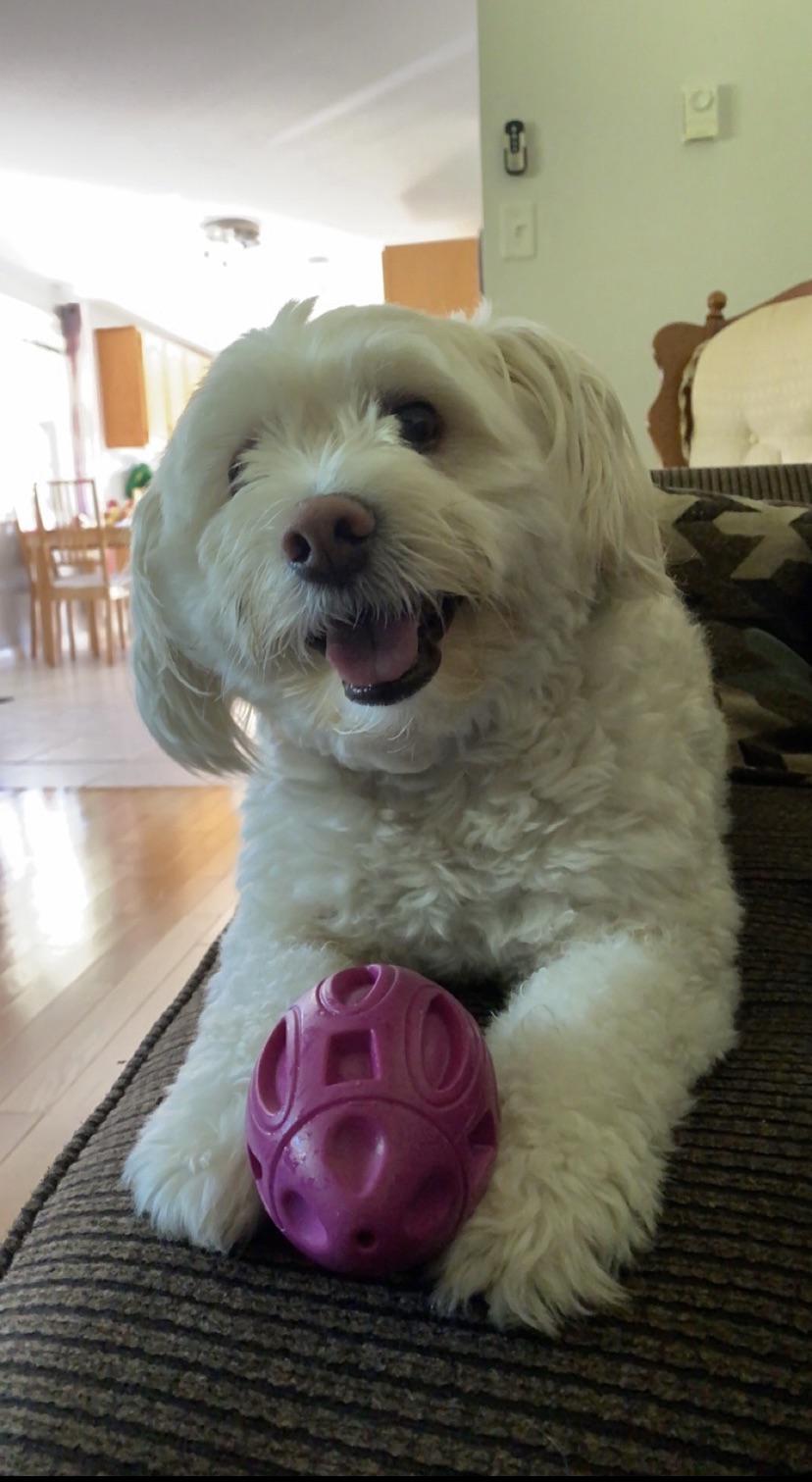 Floof 💕 | Scrolller