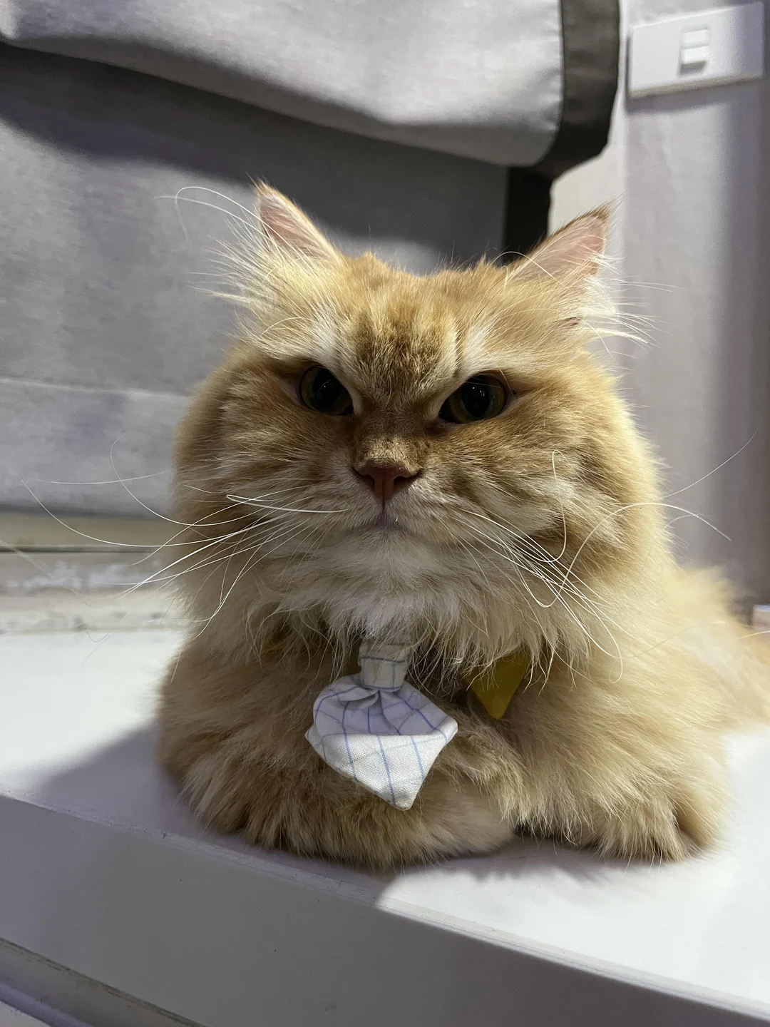 Handsome loaf | Scrolller