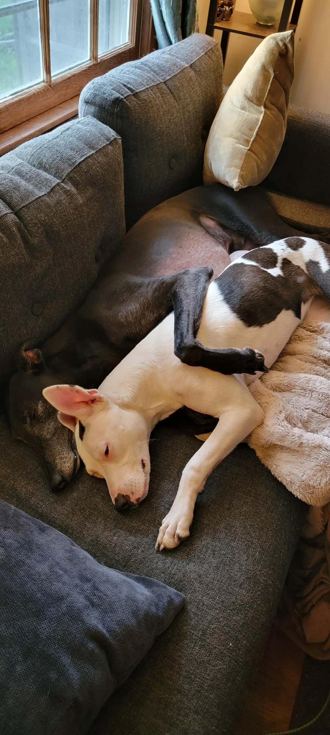 The One with the Nap Partners | Scrolller