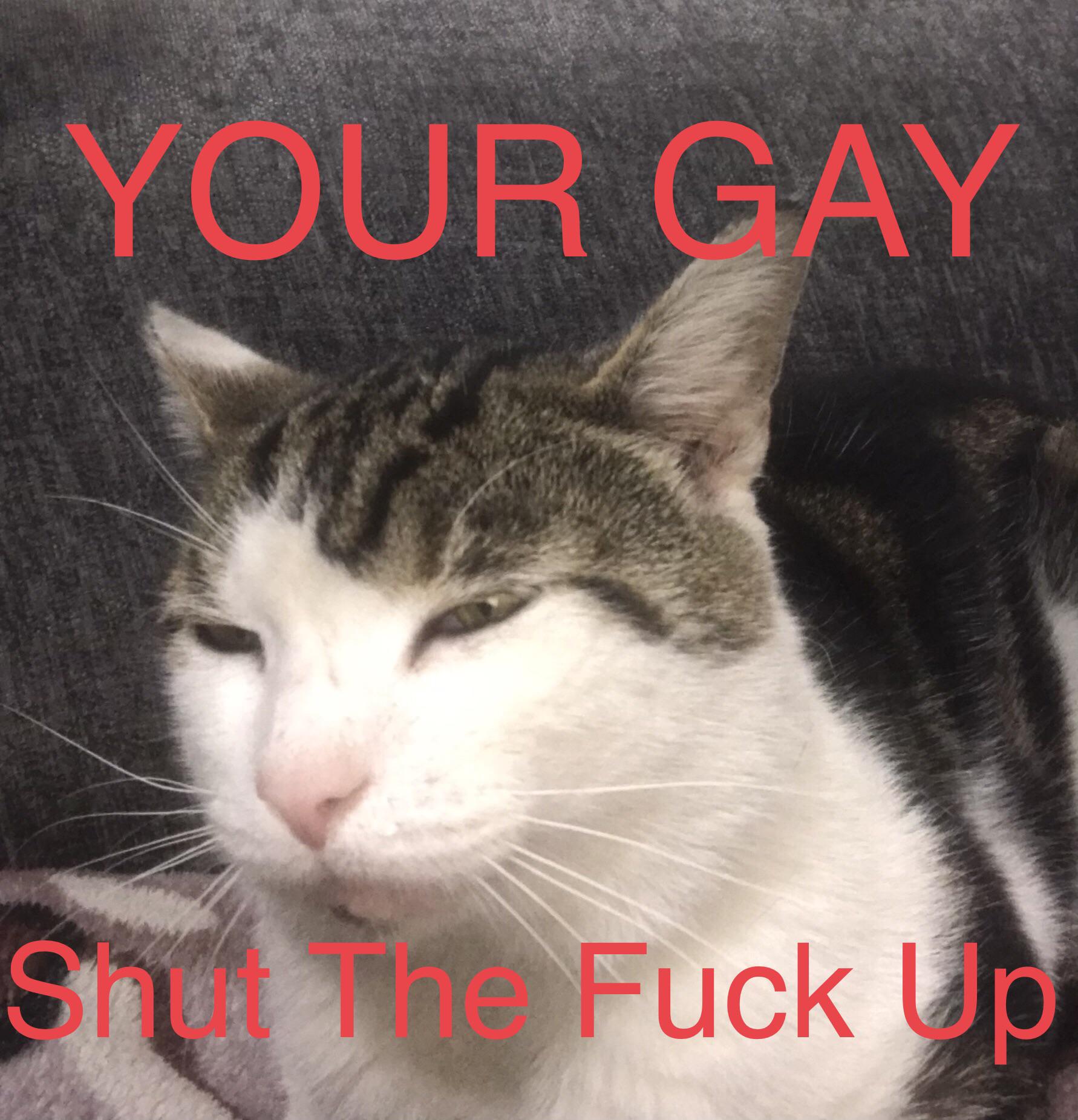 POV: when you’re losing in a conversation | Scrolller