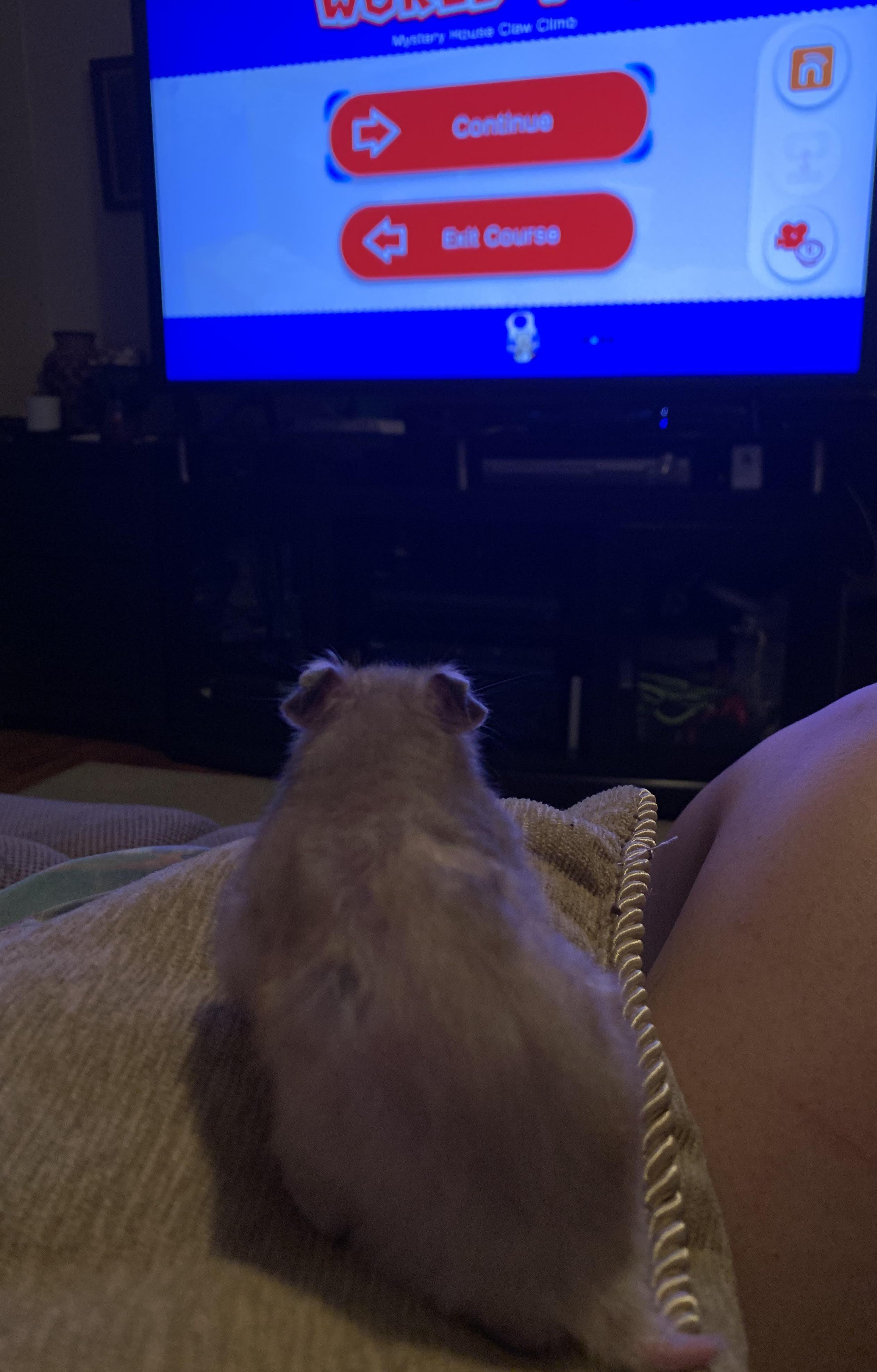 Lil Brody and I chilling 😎 | Scrolller