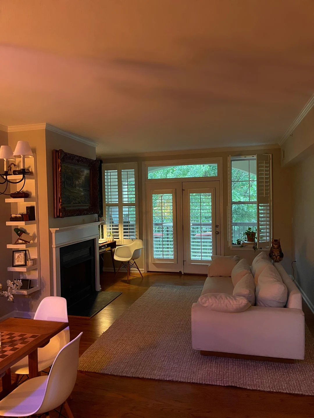 My cozy treehouse in the city | Scrolller