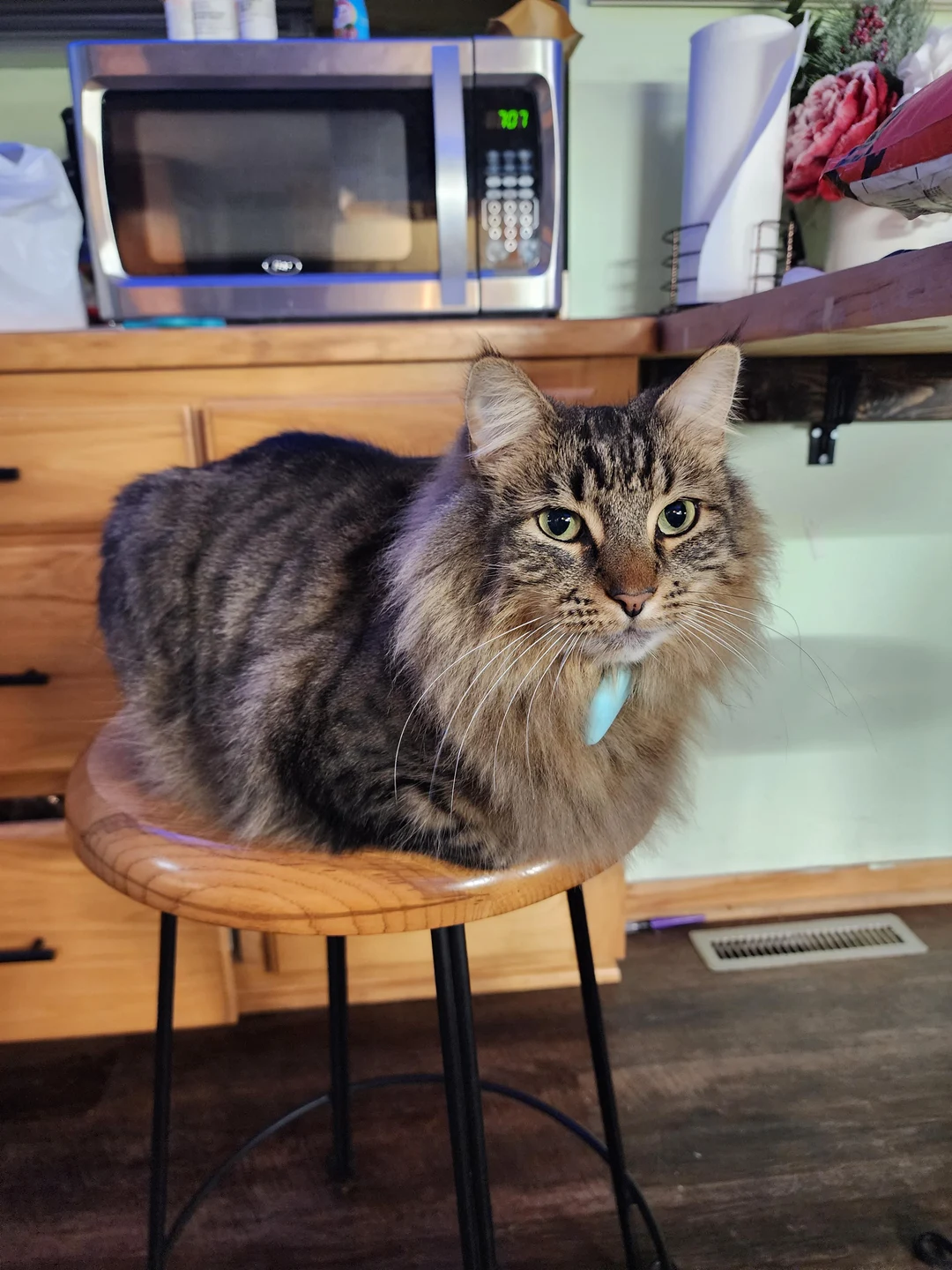 Viktor is a 10/10 fluffy, rich, brioche loaf. | Scrolller