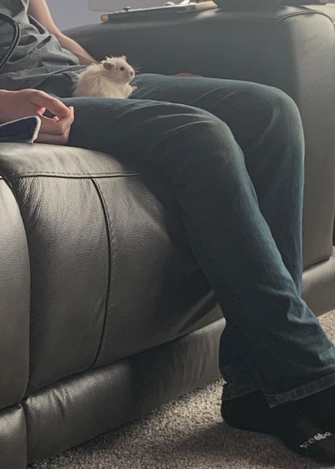 Bonding time over YouTube commentary | Scrolller