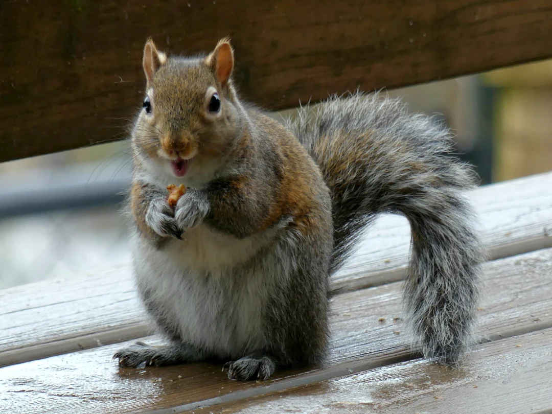 Kiff, our teeniest visitor | Scrolller