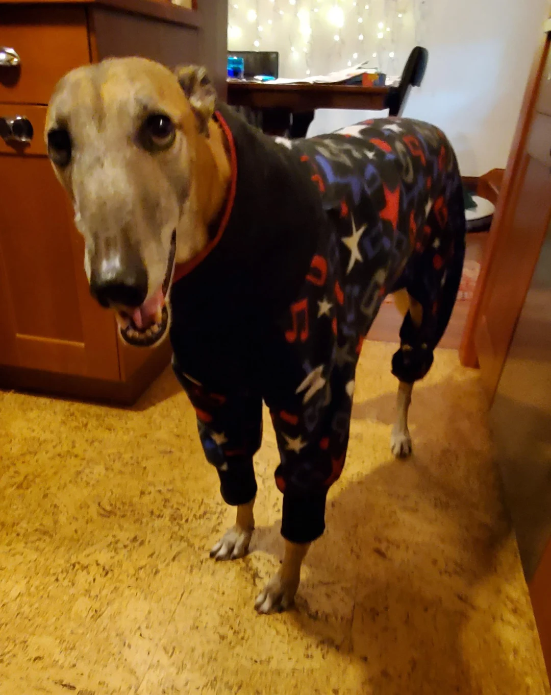 Keegan is six, and has been with us for two years. Wish him happy birthday and gotcha day ...