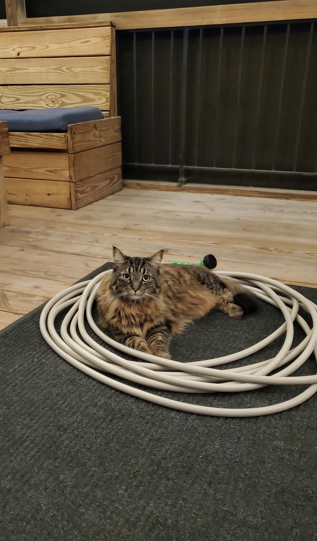 I guess it's her hose now. | Scrolller