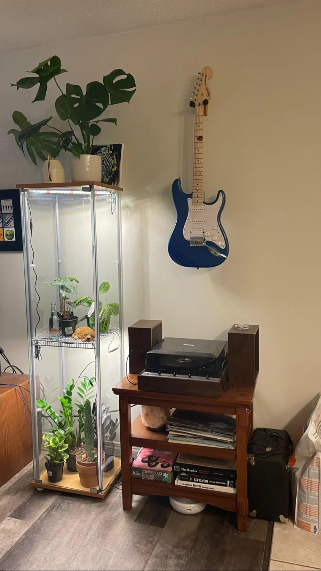 Finally mounted the guitar | Scrolller